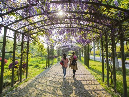 Wuxi Yangshan Peach Blossom Spring Scenic Area