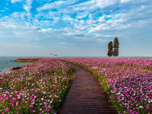 Dianshan Lake - Shanghai's Mother River Source and Scenic Beauty