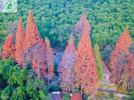 Moganshan Scenic Area - A Paradise for Tourists