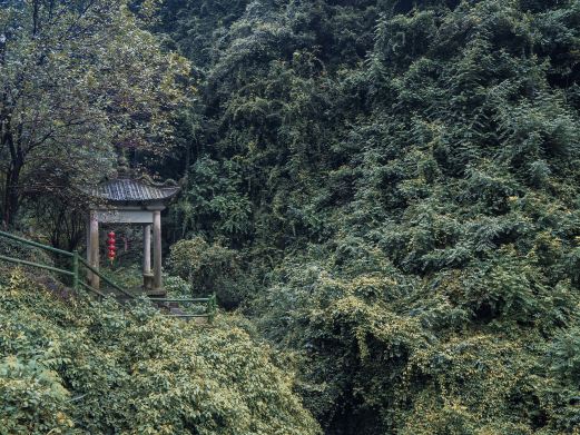 Fengming Mountain Scenic Area - Historical and Cultural Heritage