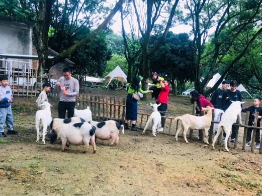 Jingming Hot Spring Resort Animal Viewing Park