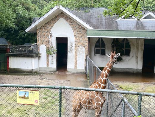 Wenzhou Zoo - A Comprehensive Tourist Attraction